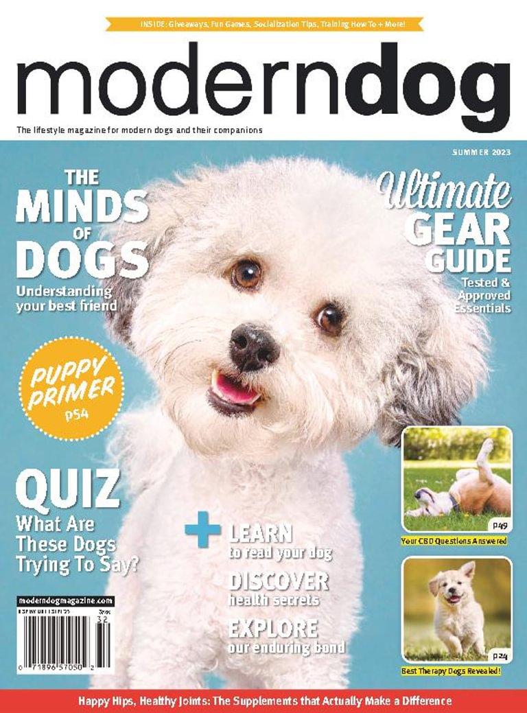 Modern Dog Magazine Subscription Discount | The Lifestyle Magazine for ...