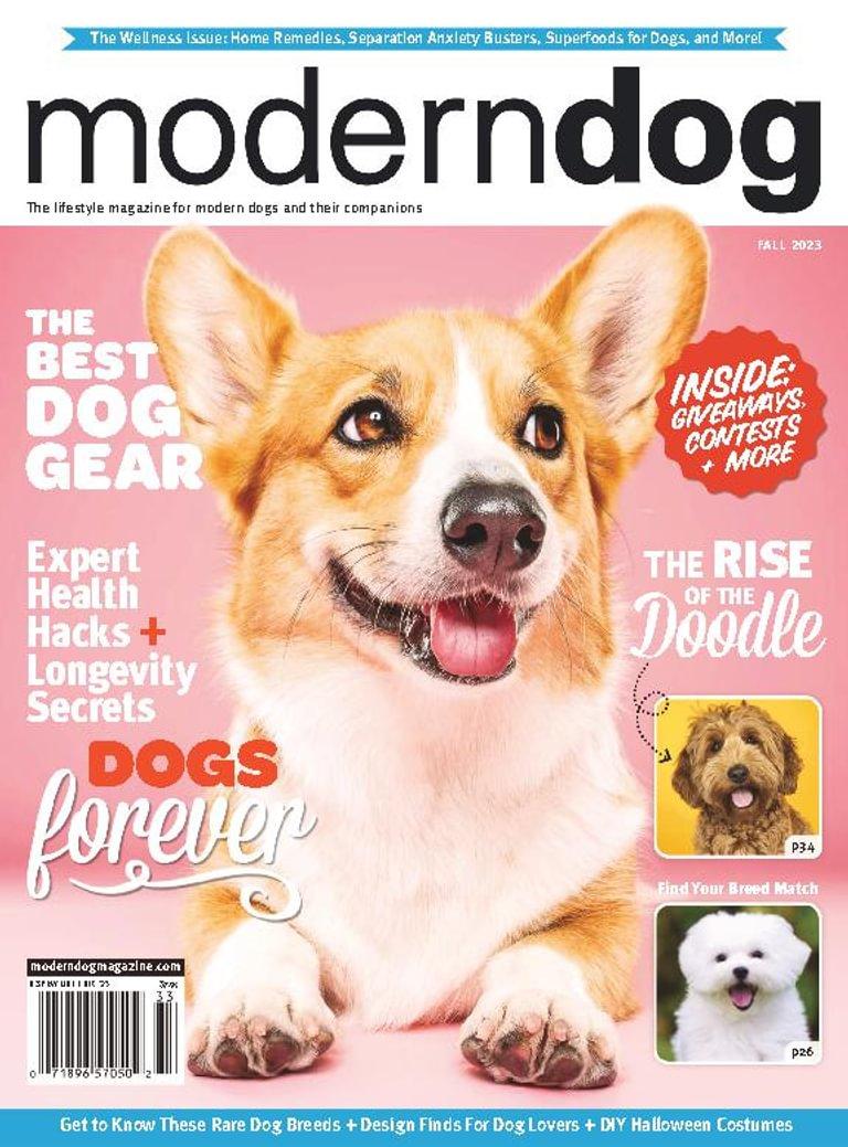 Modern Dog Magazine Subscription Discount | The Lifestyle Magazine for ...
