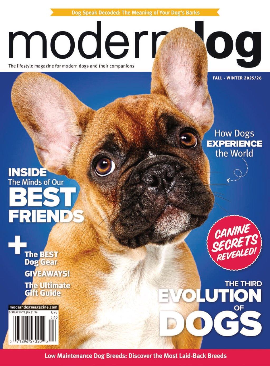 Modern Dog Magazine Subscription Discount | The Lifestyle Magazine for ...