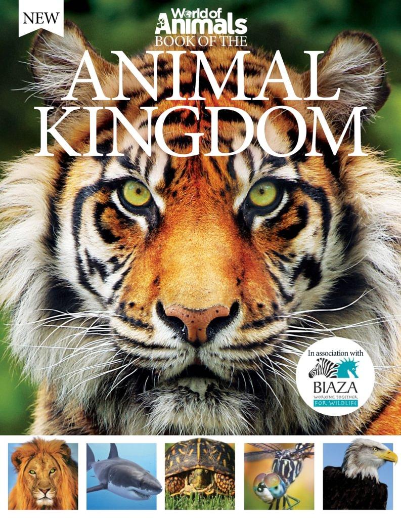 Animalia Kingdom Animals