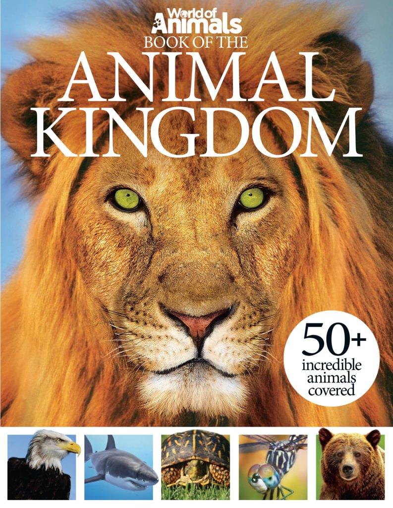 Animalia Kingdom Animals