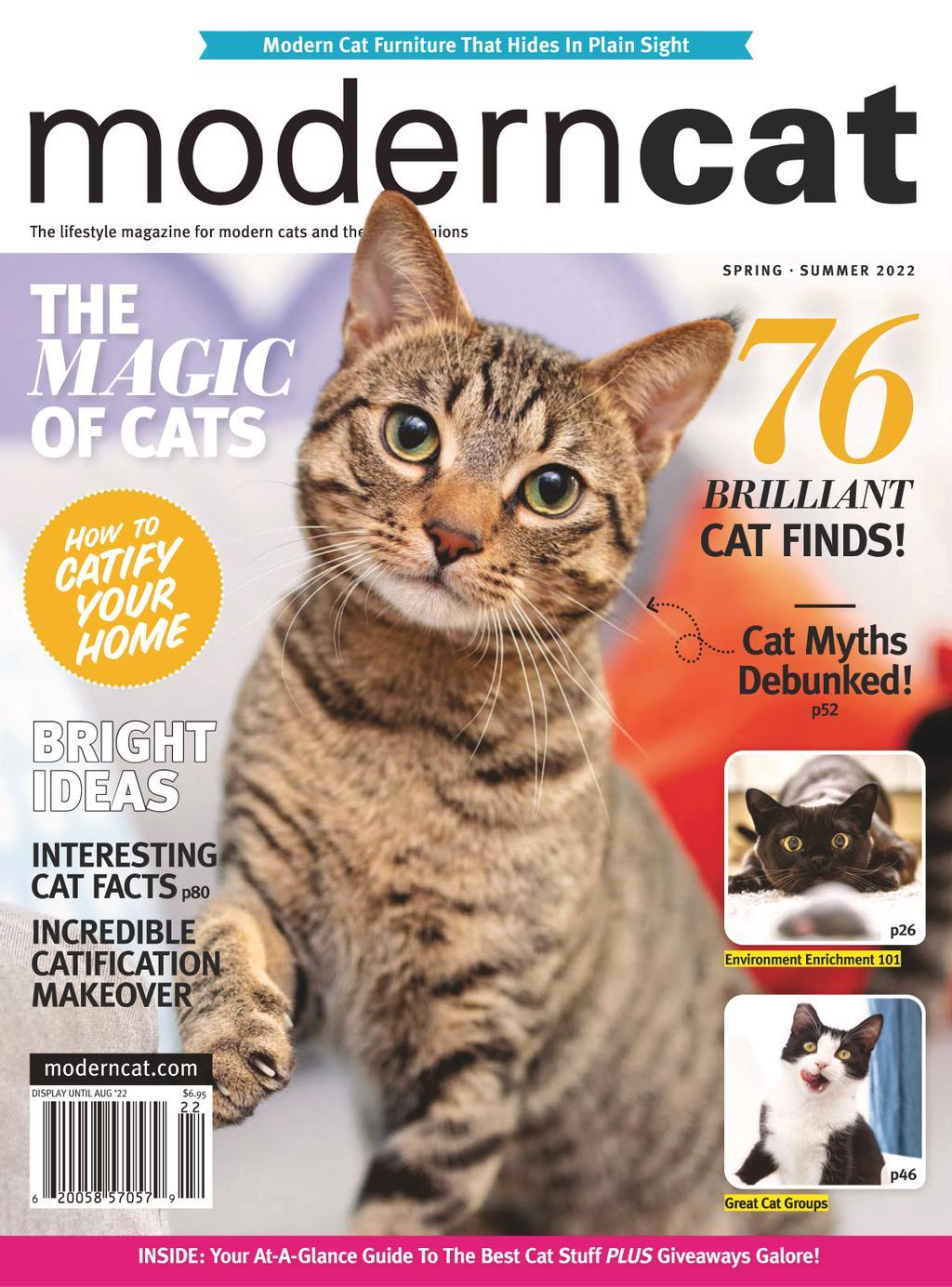 Modern Cat Magazine: Elevate Your Feline Friend's Lifestyle ...