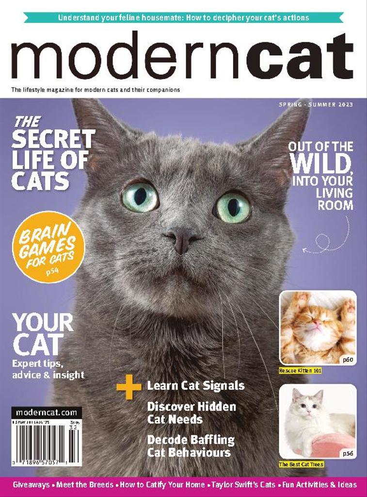 Modern Cat Magazine: Elevate Your Feline Friend's Lifestyle ...