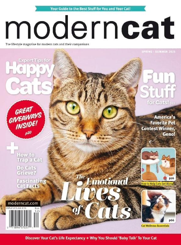 Modern Cat Magazine: Elevate Your Feline Friend's Lifestyle ...