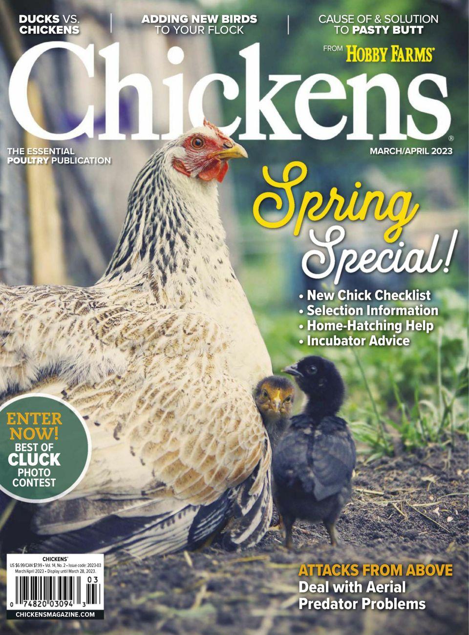 Chickens Magazine Subscription Discount - DiscountMags.com