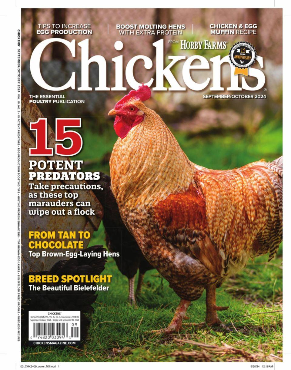 Chickens Magazine Subscription Discount - DiscountMags.com