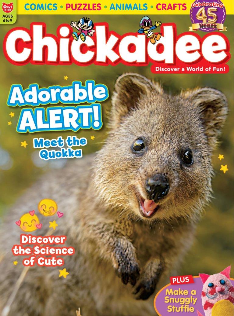 ChickaDEE Magazine Subscription Discount | Educational Fun ...