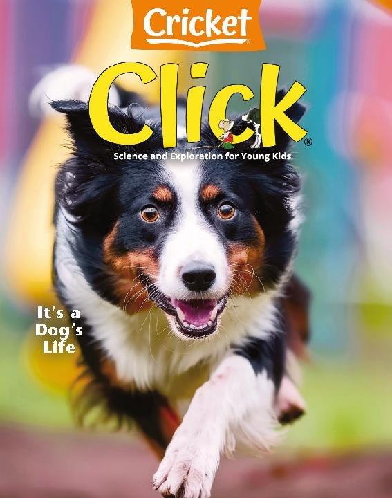 Click Science And Discovery Magazine For Preschoolers And Young ...
