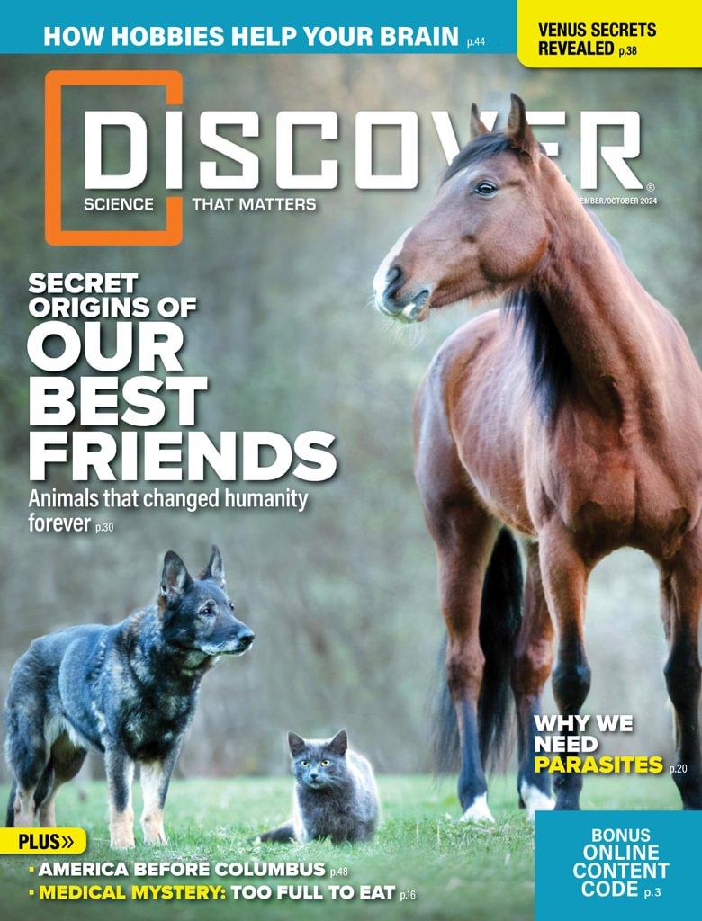 Discover Magazine | Science News for Curious Minds - DiscountMags.com