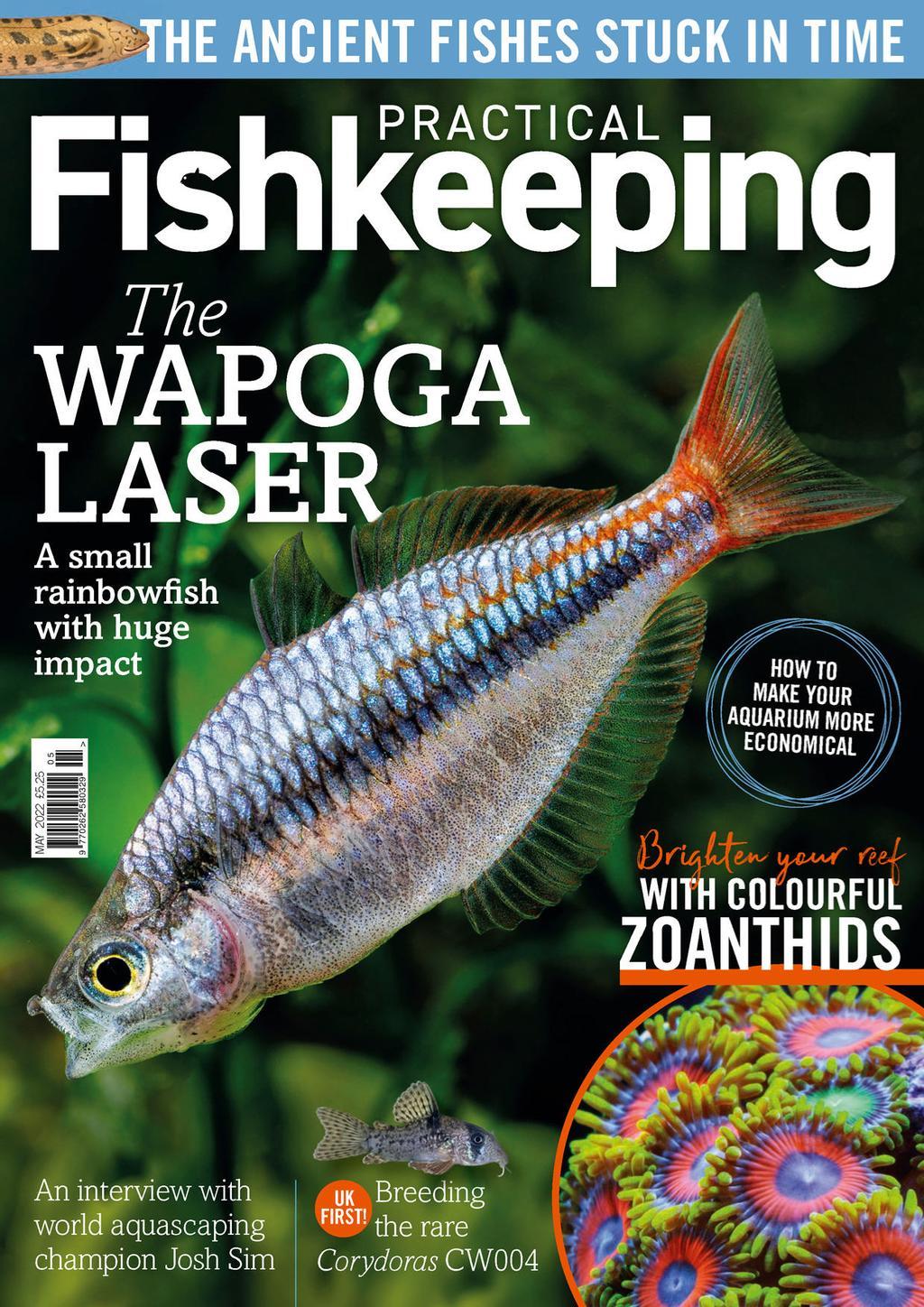 Practical Fishkeeping Magazine Subscriptions and