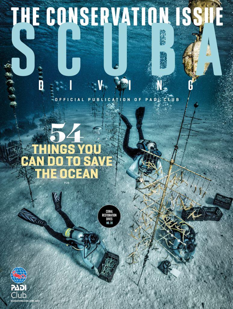 Scuba Diving Magazine Subscription Discount | Take a Dive ...