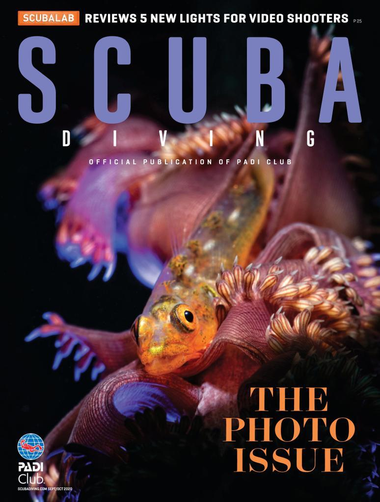 Scuba Diving Magazine Subscription Discount | Take a Dive ...