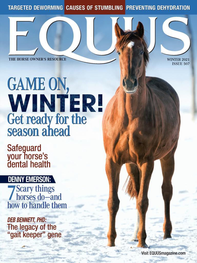 Equus Magazine Subscription Discount | The Magazine for Horse Lovers ...