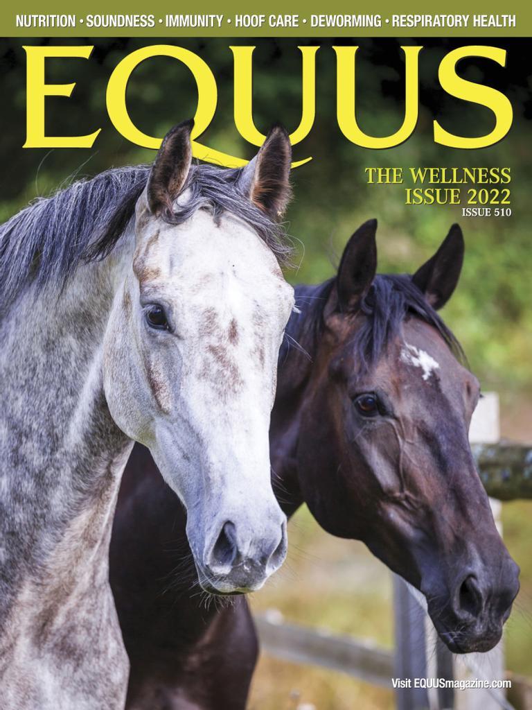 Equus Magazine Subscription Discount | The Magazine for Horse Lovers ...