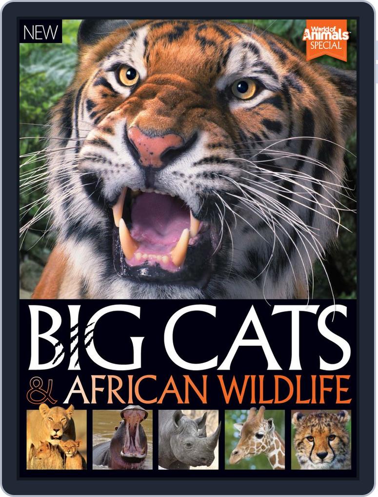 Biggest Wild Cats In The World biggest-wild-cats-in-the-world