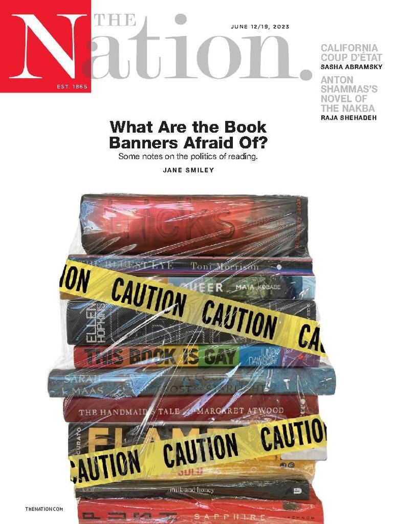 The Nation Magazine Subscription Discount | Instigating Progress Since ...
