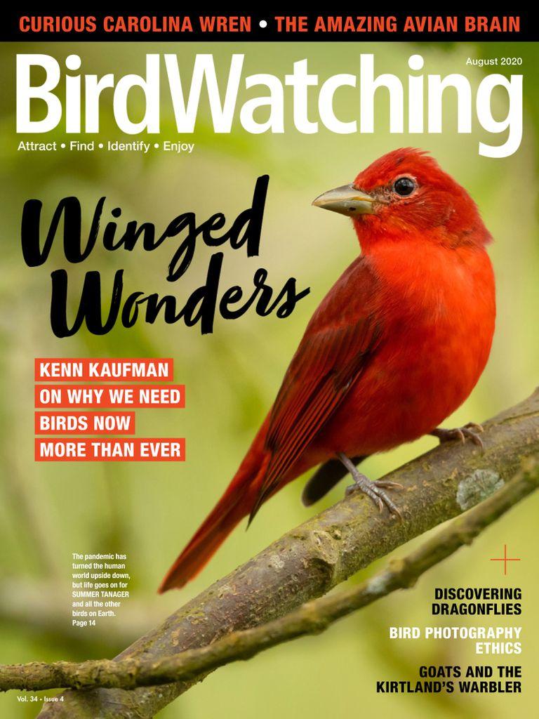 Birdwatching Magazine Subscription Discount - DiscountMags.com