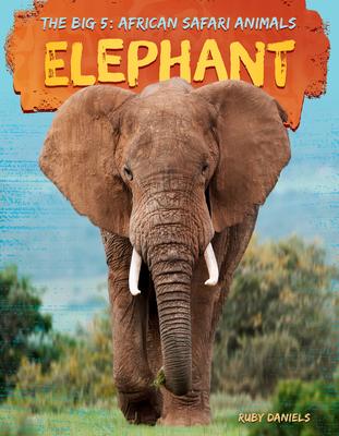 Elephant by Ruby Daniels, Library Binding - DiscountMags.com