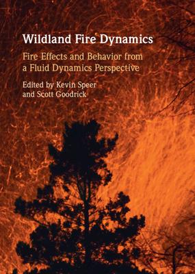 Wildland Fire Dynamics, Hardcover - DiscountMags.com