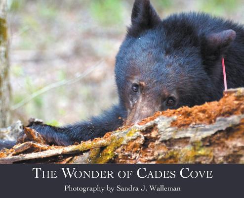 The Wonder of Cades Cove by Sandra J. Walleman, Hardcover ...
