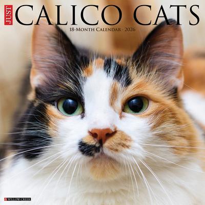 Calico Cats 2026 12 X 12 Wall Calendar by Willow Creek Press, Spiral ...