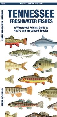Tennessee Freshwater Fishes: A Folding Guide to Native and Introduced ...
