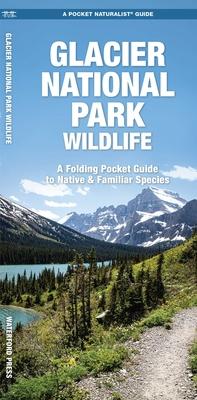 Glacier National Park Wildlife by Waterford Press, Other - DiscountMags.com
