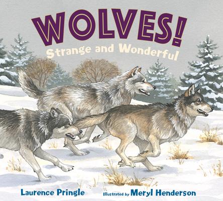Wolves! Strange and Wonderful by Laurence Pringle, Hardcover ...