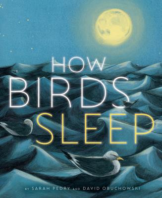 How Birds Sleep by David Obuchowski, Hardcover - DiscountMags.com