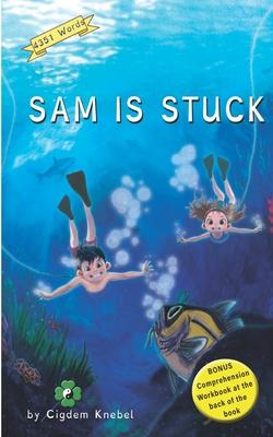 Sam Is Stuck: (Dyslexie Font) Decodable Chapter Books by Cigdem Knebel ...