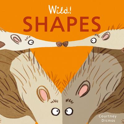 Shapes by Courtney Dicmas, Board Book - DiscountMags.com