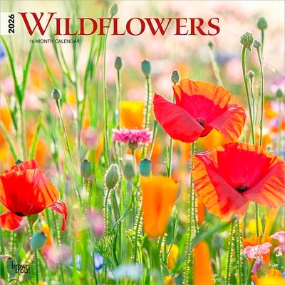 Wildflowers 2026 12 X 24 Inch (Hanging) Monthly Square Wall Calendar ...
