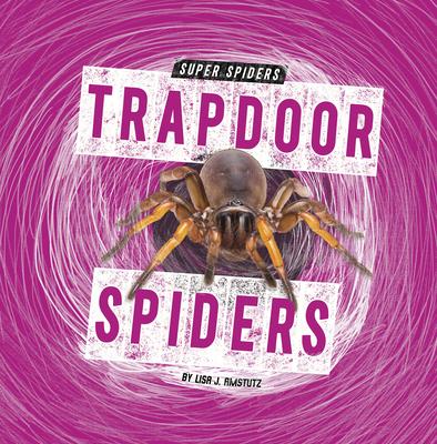 Trapdoor Spiders by Lisa J. Amstutz, Library Binding - DiscountMags.com