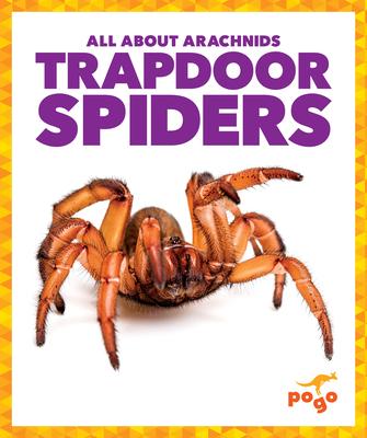 Trapdoor Spiders by Becca Becker, Library Binding - DiscountMags.com