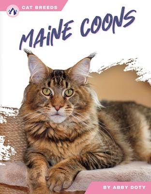 Maine Coons by Abby Doty, Library Binding - DiscountMags.com