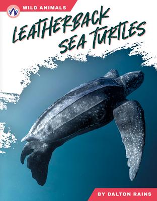 Leatherback Sea Turtles by Dalton Rains, Library Binding - DiscountMags.com