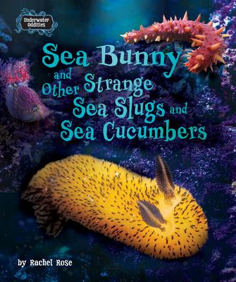 Sea Bunny and Other Strange Sea Slugs and Sea Cucumbers by Rachel Rose ...