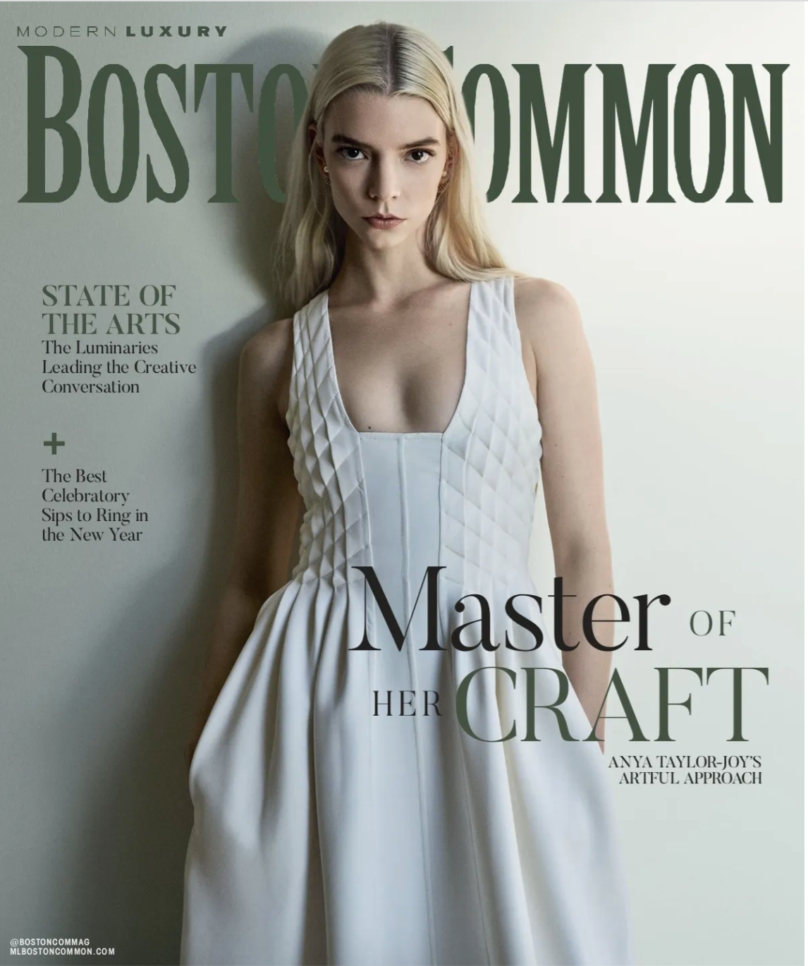 Boston Common Magazine Subscription - DiscountMags.com