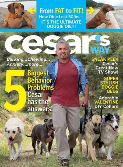 Cesar's Way Magazine Subscription Discount | Achieving Balance and ...