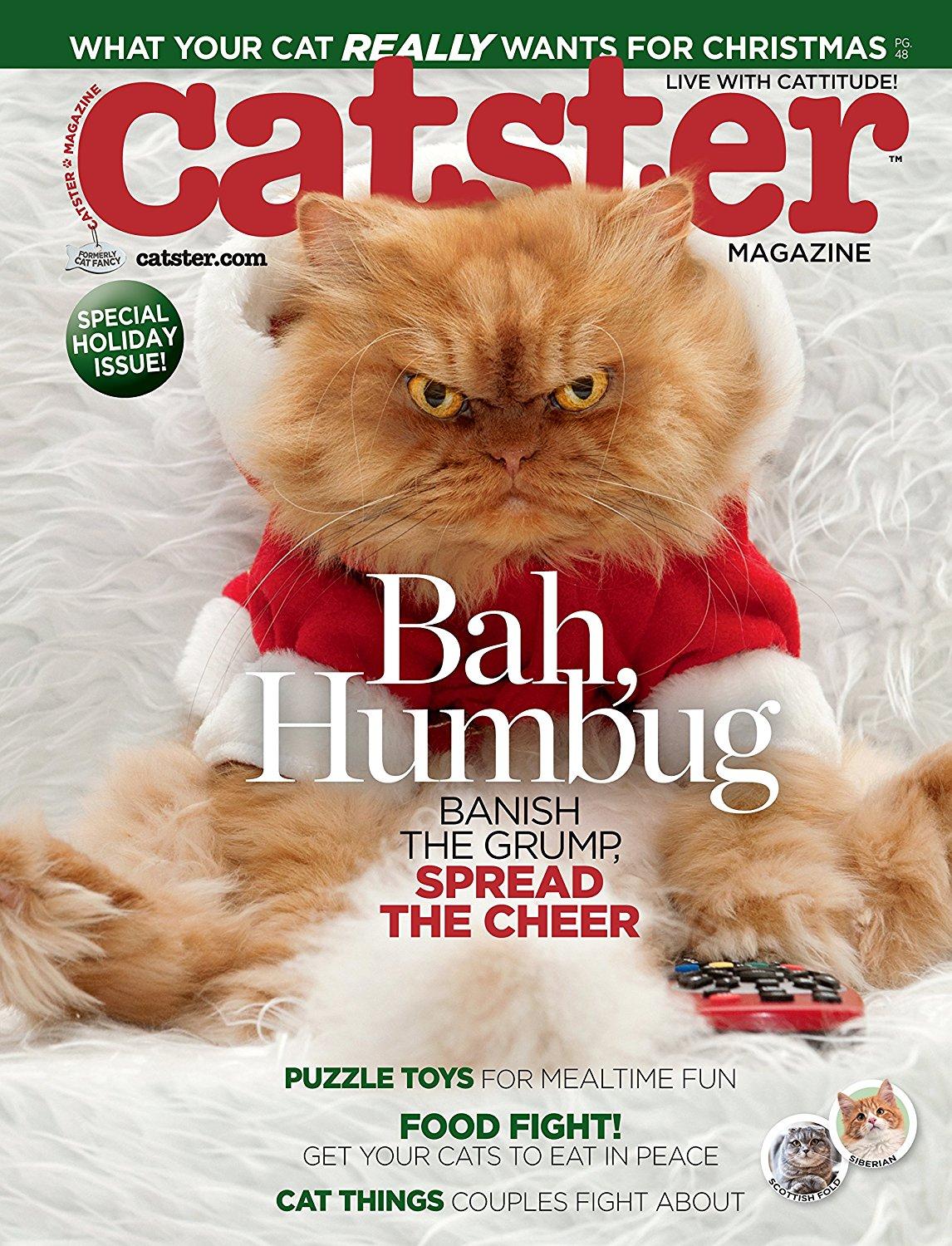 Catster Magazine Subscription Discount | Get to Know Your Cat ...