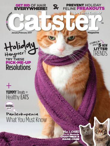 Catster Magazine Subscription Discount | Get to Know Your Cat ...