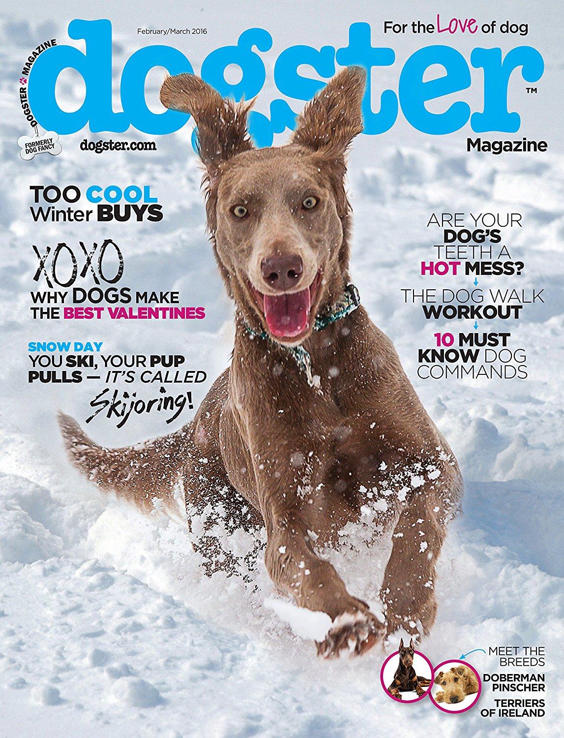 Dogster Magazine Subscription Discount | The Ultimate Guide to Dogs ...