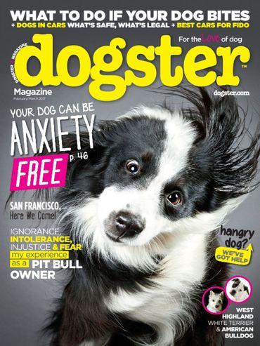 Dogster Magazine Subscription Discount | The Ultimate Guide to Dogs ...