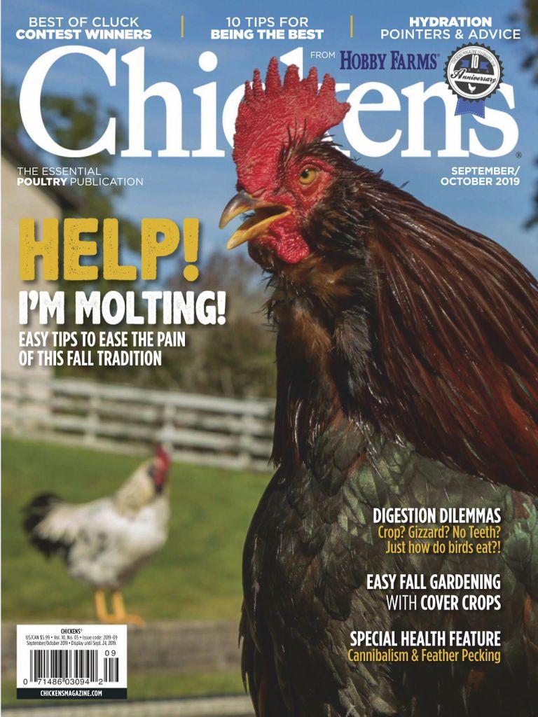 Chickens Magazine Subscription Discount - DiscountMags.com