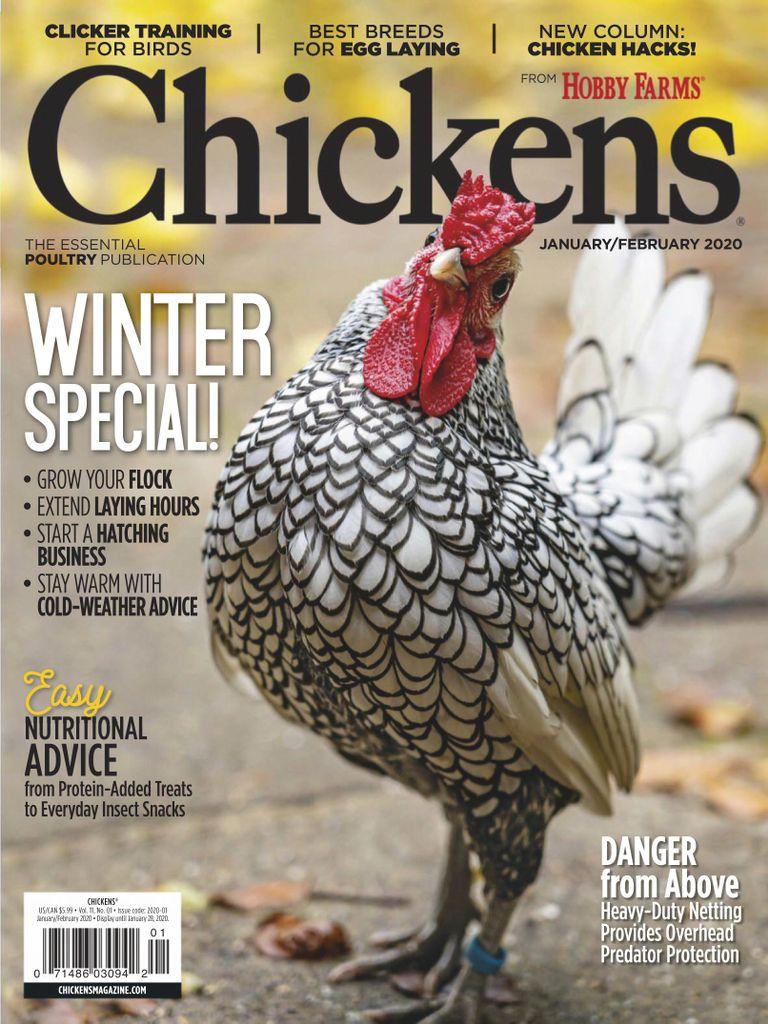 Chickens Magazine Subscription Discount - DiscountMags.com