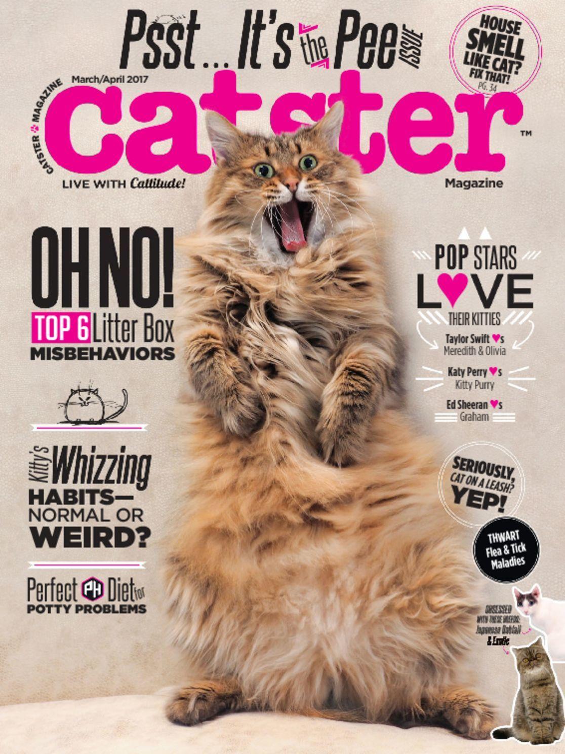Catster Magazine Subscription Discount | Get to Know Your Cat ...