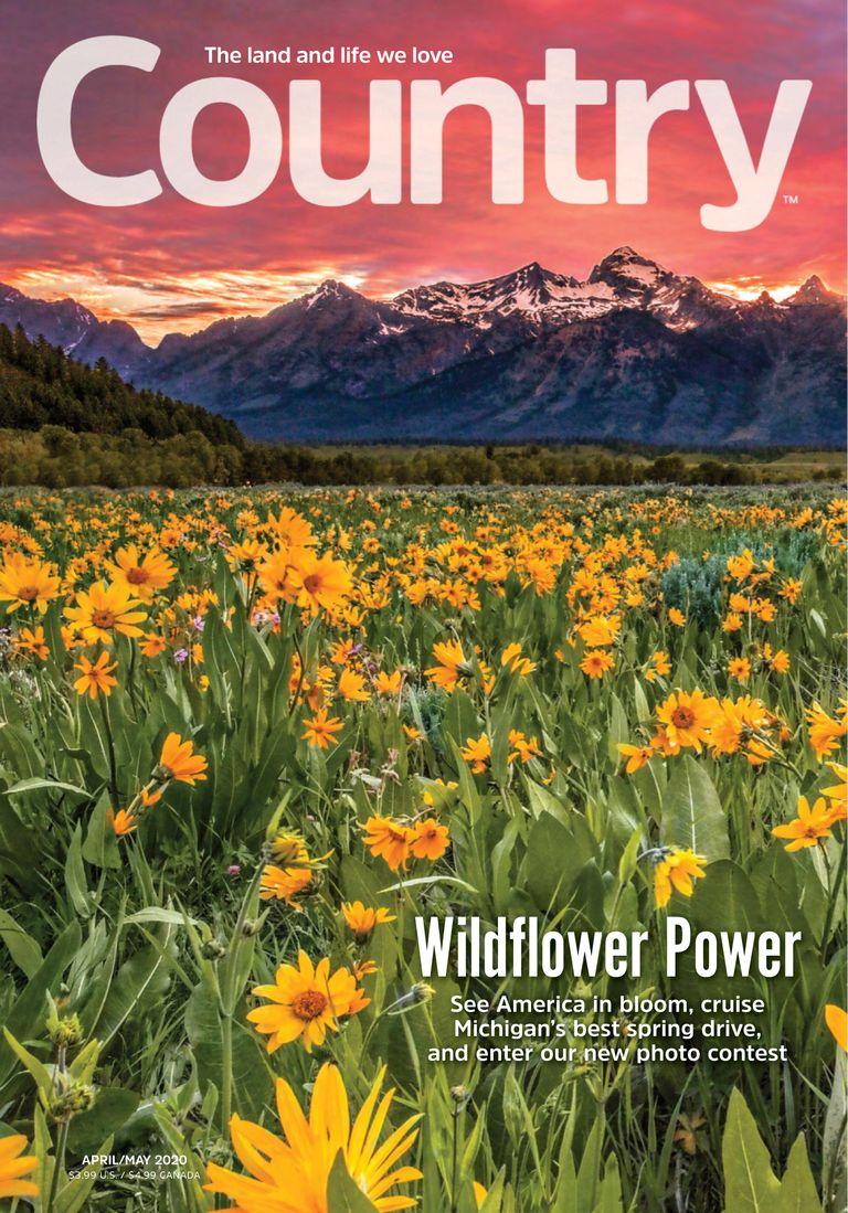 Country Magazine Subscription Discount - DiscountMags.com