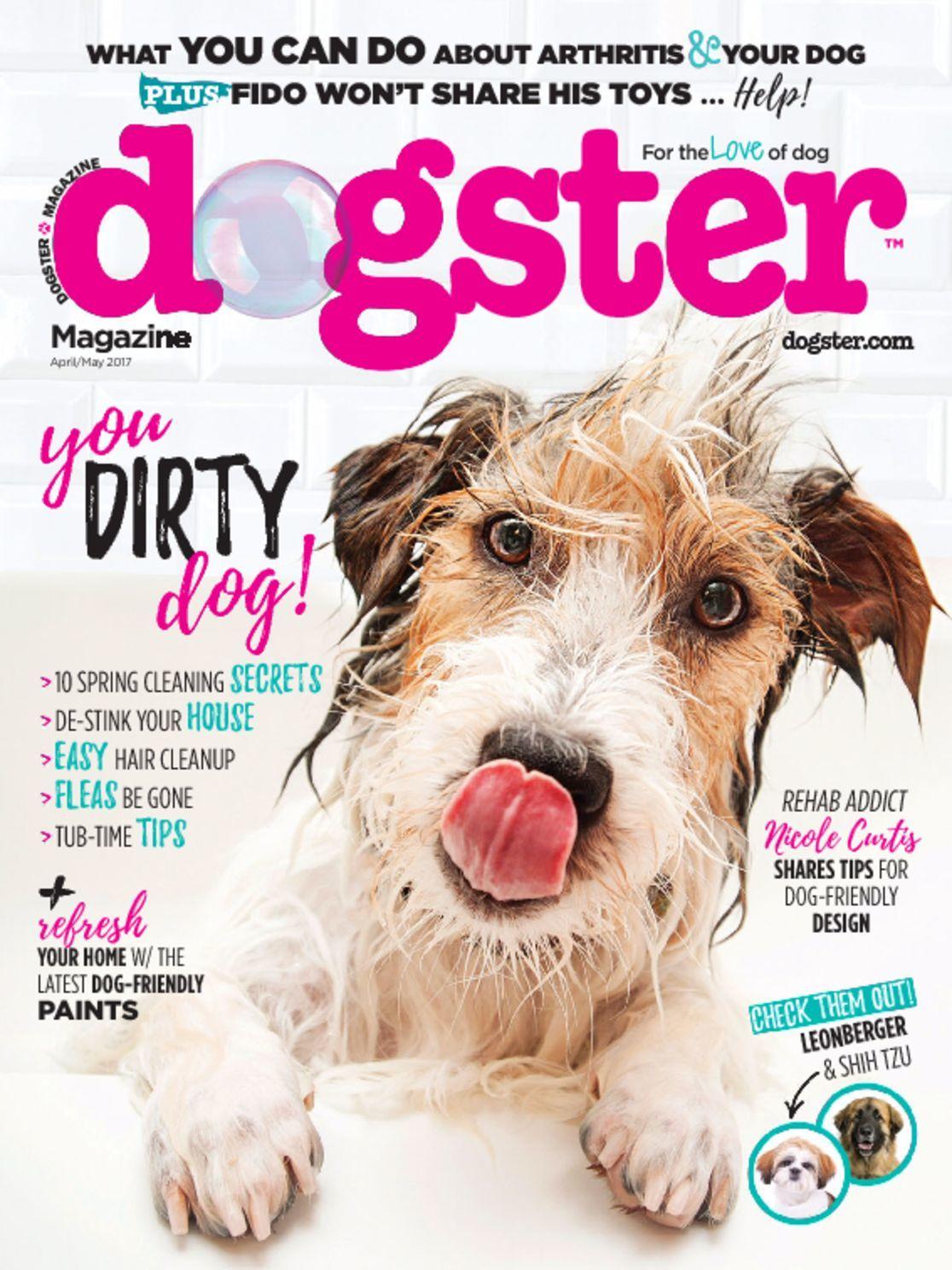 Dogster Magazine Subscription Discount | The Ultimate Guide to Dogs ...