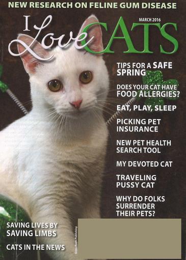 I Love Cats Magazine Subscription Discount