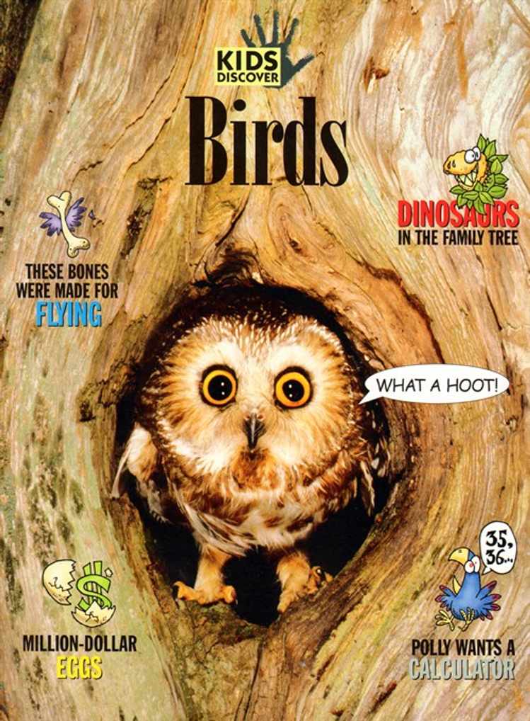 Kids Discover Magazine Subscription Discount | Fun and Educational ... Kids Discover Magazine Subscription Discount | Fun and Educational ...
